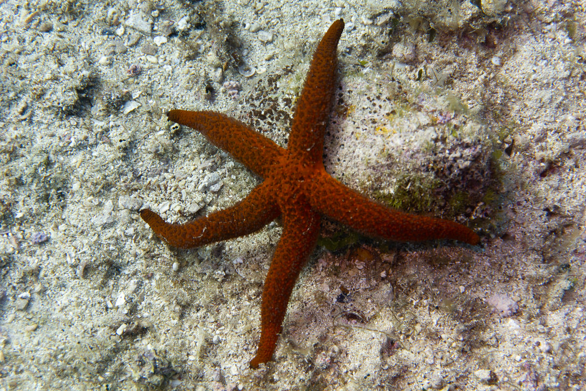 Plavnik, Krk, Love Cave - Jessica und Felix Reisen!